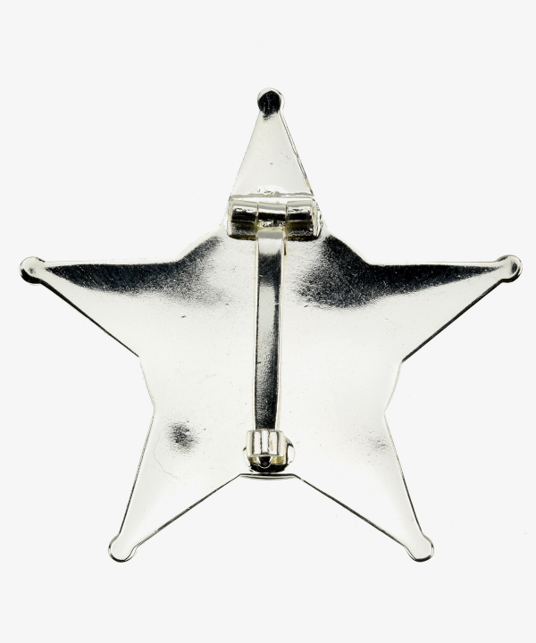 Turkey Iron Crescent Gallipoli Star 1st Class with Needle Ottoman ...