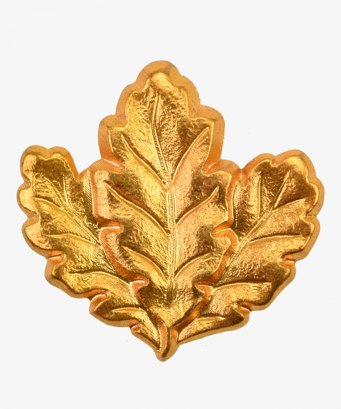 Baden Eichenlaub zum Orden vom Zähringer Löwen Ritterkreuz - Onlineshop ...